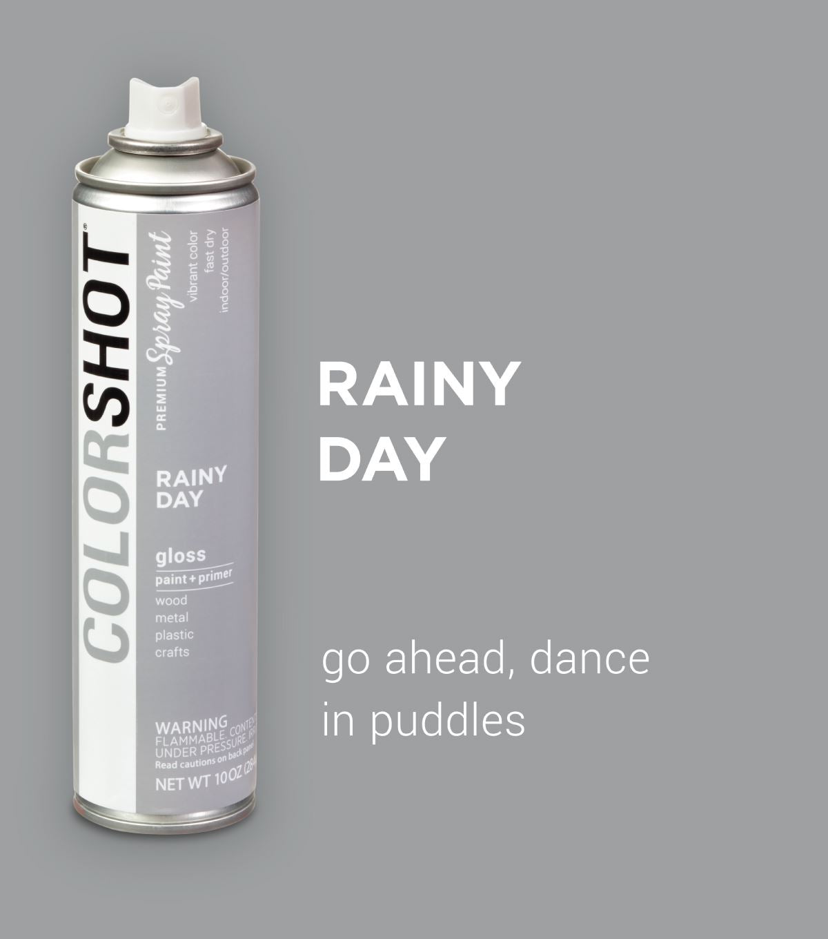 COLORSHOT Gloss Spray Paint Rainy Day (Gray) 10 oz. 4 Pack – ILoveToCreate